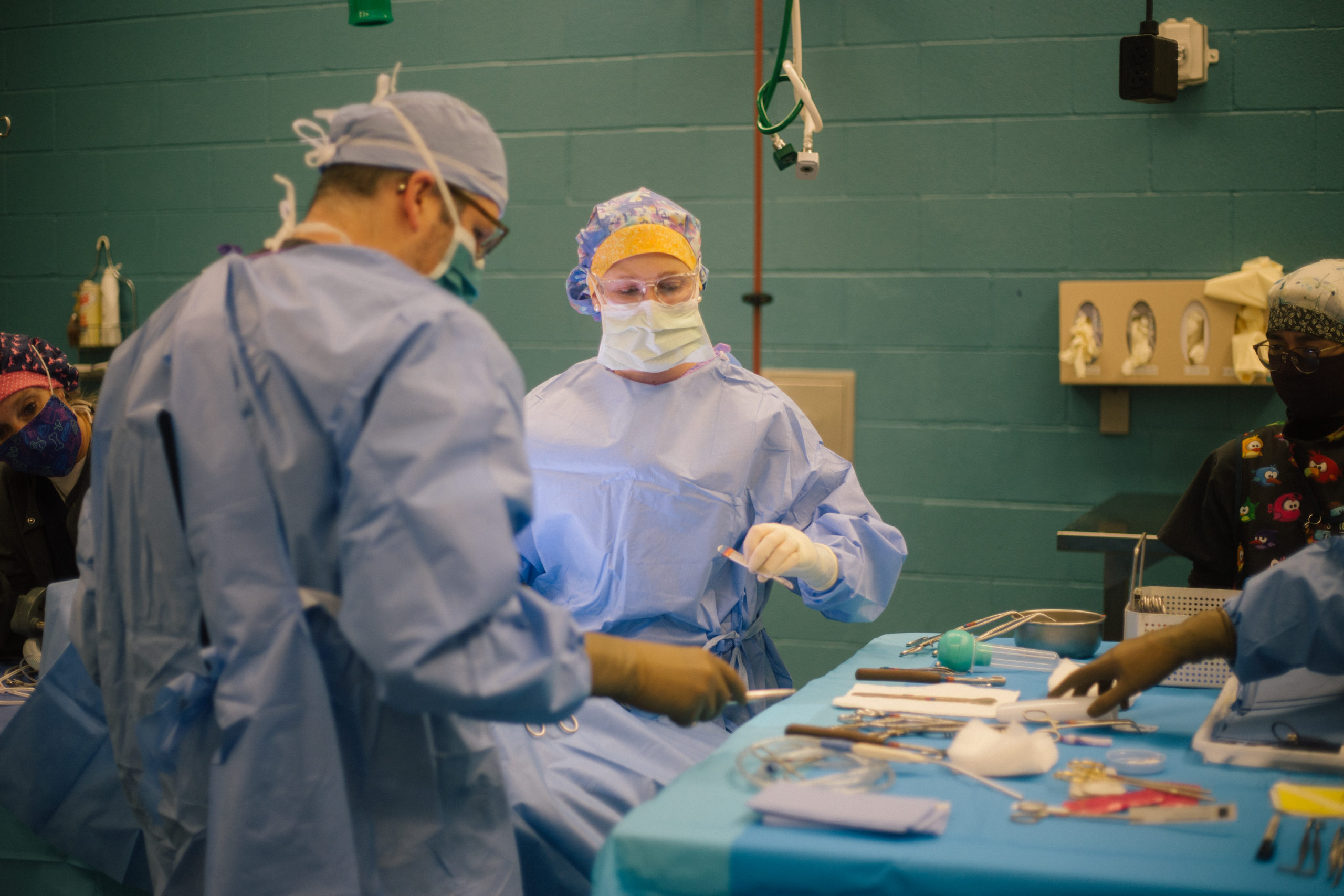 Services – Preclinical Surgical Research Laboratory